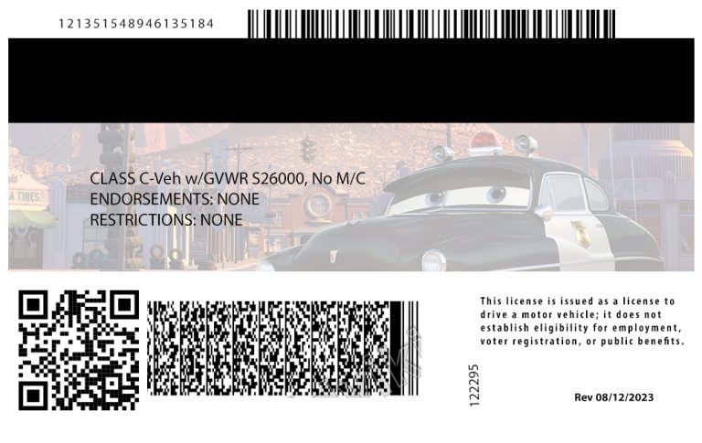 Drivers License Submission – Neo Austin